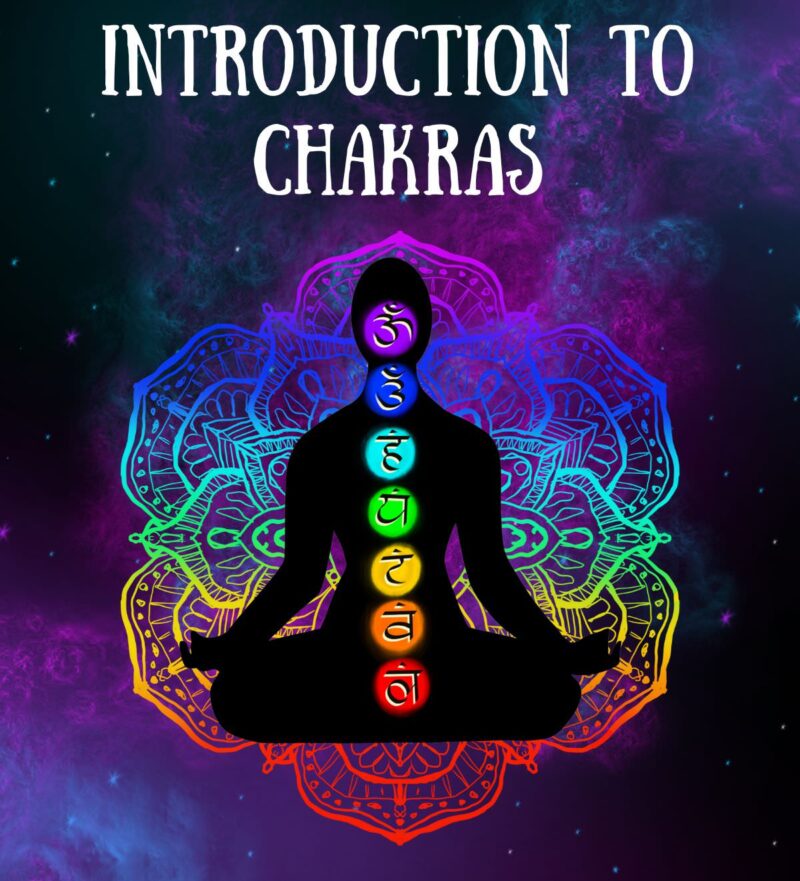Introduction to Chakras Class • The Secret Door Crystal Shops